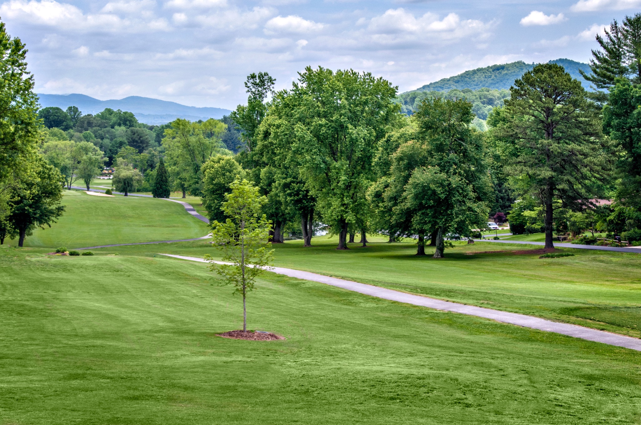 Golf - Etowah Valley Golf Club