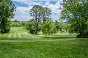 Golf - Etowah Valley Golf Club